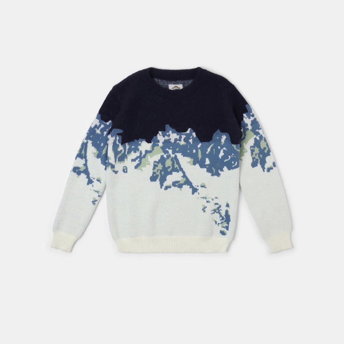 Buy LEE COOPER JUNIORS Printed Knitted Sweater from Lee Cooper Juniors ...