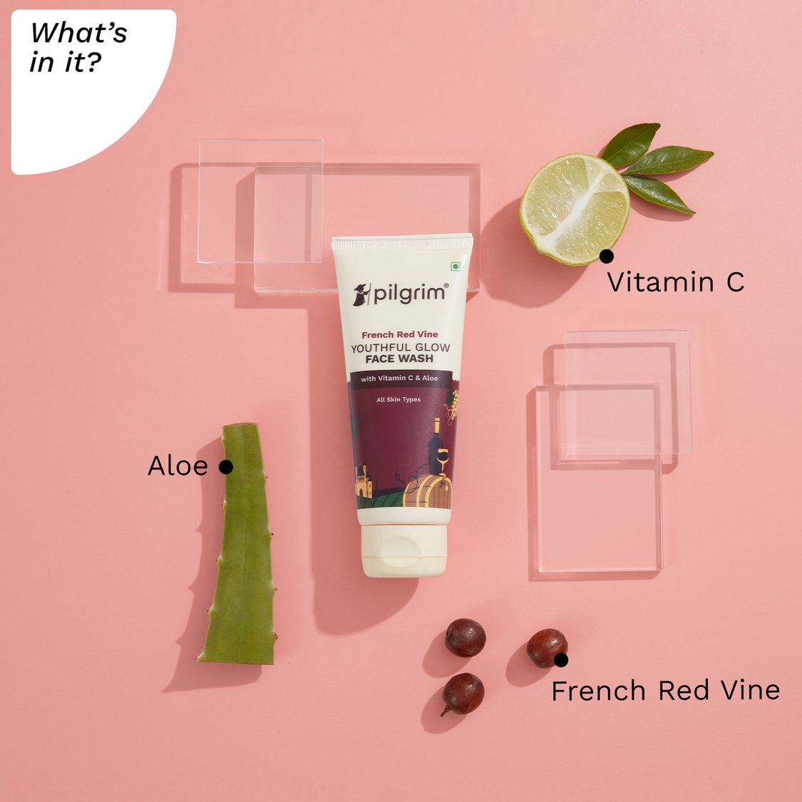 Buy PILGRIM Red Vine Face Wash - 100ml from Pilgrim at just INR 350.0