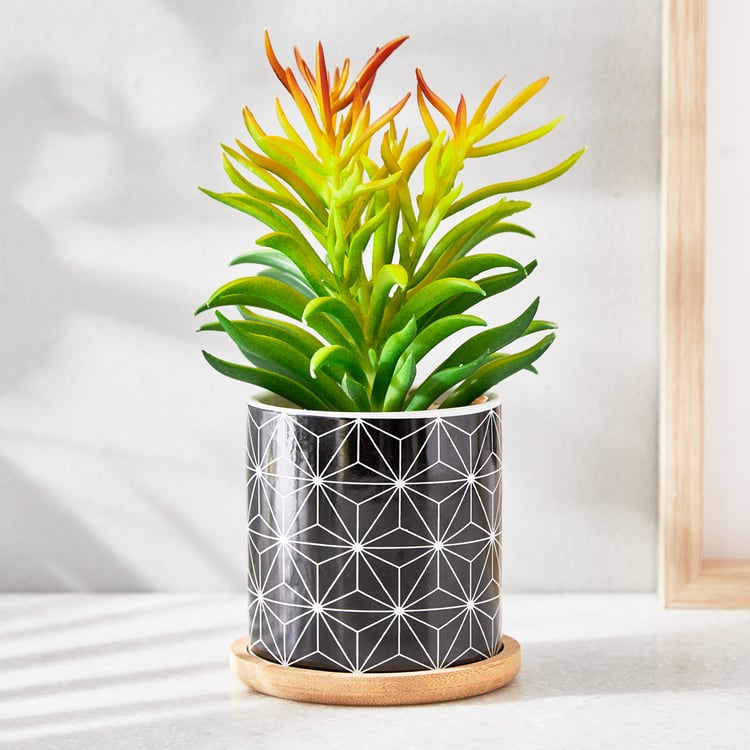 Buy Fiesta Artificial Plant in Ceramic Pot from Home Centre at just INR ...