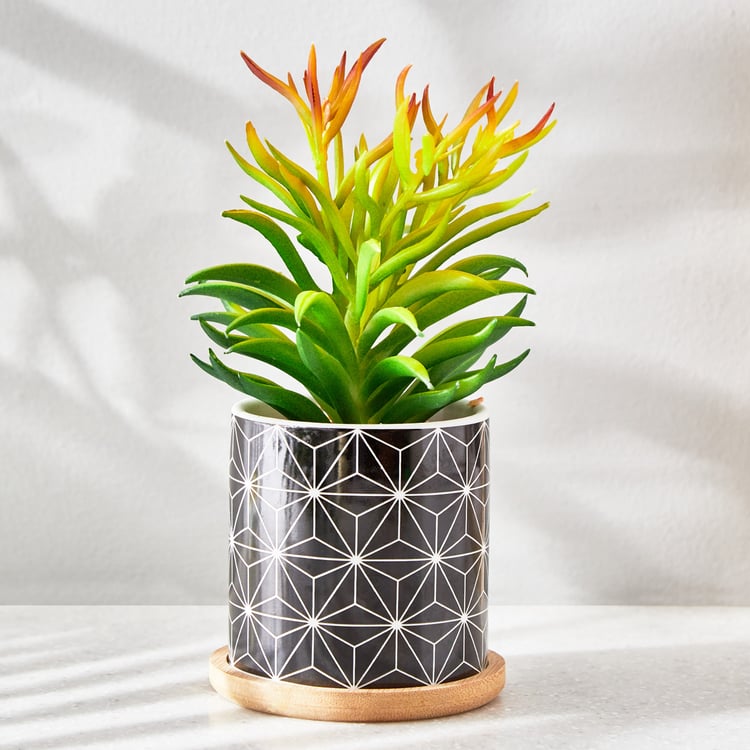Buy Fiesta Artificial Plant in Ceramic Pot from Home Centre at just INR ...