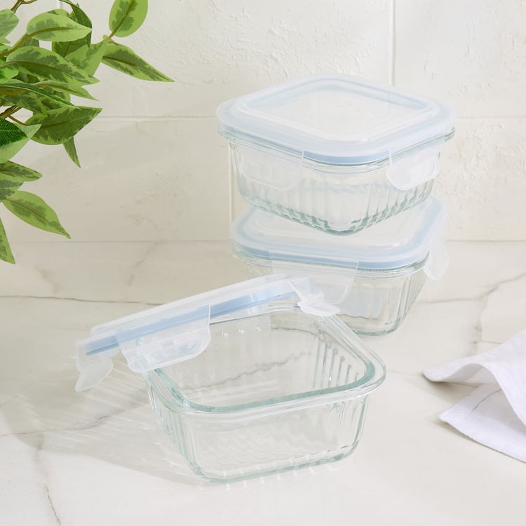 Buy Glassify Delish Set of 3 Glass Containers - 320ml from Home Centre ...